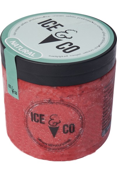 Ice&co Orman Meyveli Sorbet 500 ml