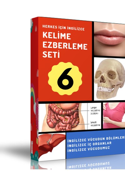 İngilizce Kelime Ezberleme Modüler Kitap Seti-6 İngilizce Kelime Ezberleme Modüler Kitap Seti-6