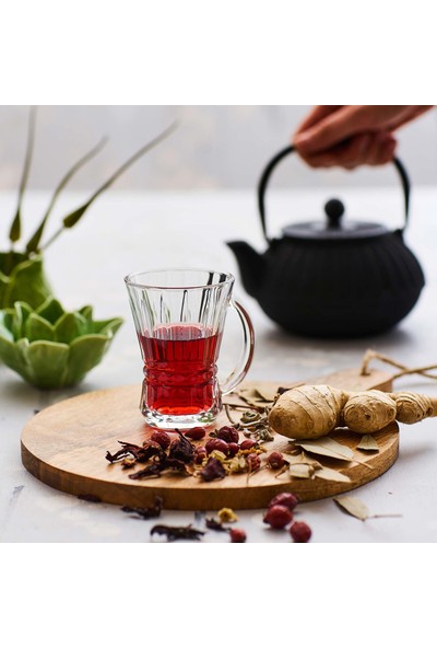 6'Lı Venüs Kulplu Çay Bardağı