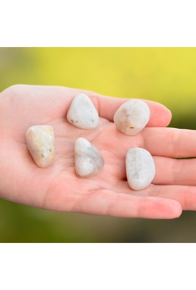 Taş Sandığı Ay Taşı Kütle