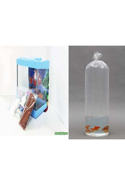 Canlı Petshop Tropica Hediyelik Mini Akvaryum Standart 4499