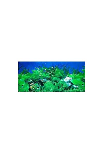 Dekor Arka Fon (Manzara-6) 50 cm Uzunluk Yükseklik 60 cm