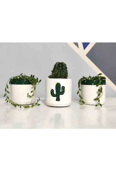 El Çizimi Kaktüs Desenli 3' lü Beton Saksı Seti (Silindir) El Çizimi Kaktüs Desenli 3' lü Beton Saksı Seti (Silindir)