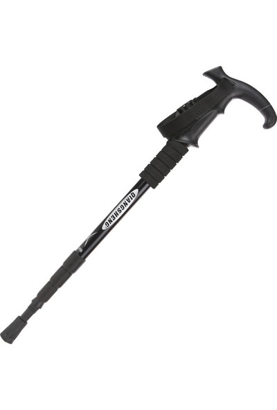 Sw Future Dört Bölümlü T-Saplı Ultra Hafif Tırmanma Batonu Sw Future Dört Bölümlü T-Saplı Ultra Hafif Tırmanma Batonu