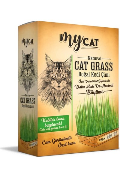 My Cat Doğal Kedi Çimi