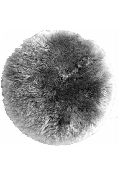 Auto Express Türkiye Autoexpress Kuzu Postu Polisaj Keçesi Gri 160MM