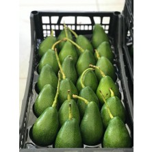Avokado Satın Al | Avokado Fiyatları | Hepsiburada