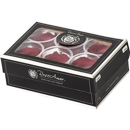 Rose Amor Red 01 Koyu Kırmızı Şoklanmış Solmaz Gül Xl 1 Kutu Fiyatı