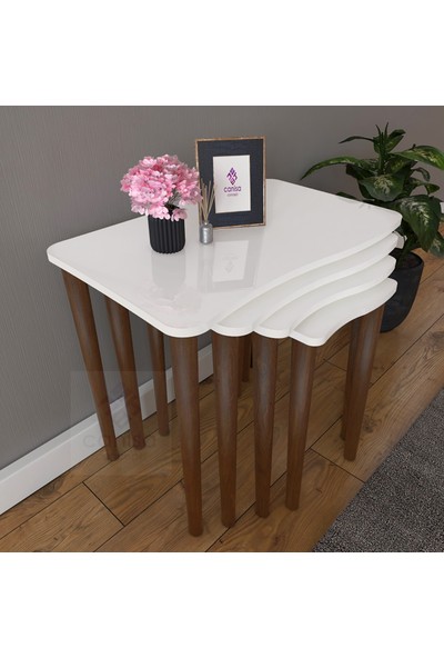 Canisa Concept Kuğu 4 Lü Zigon Sehpa Lake Boyalı