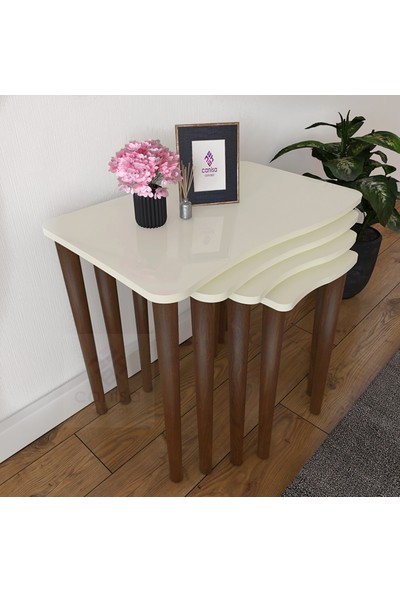 Canisa Concept Kuğu 4 Lü Zigon Sehpa Lake Boyalı