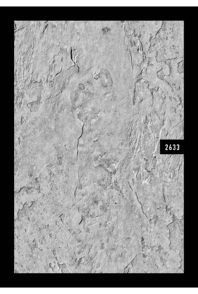 Wall212 Aldımgitti Online Beton Sıva Desen Duvar Kağıdı Wall212 Aldımgitti Online Beton Sıva Desen Duvar Kağıdı