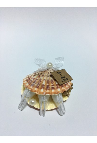 Süslü Püslü Deniz Kabuğu Nikah Şekeri