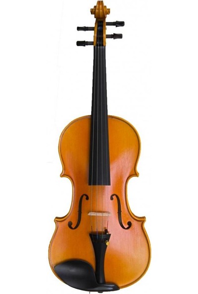 Carlovy VLA2 - 4/4 Keman