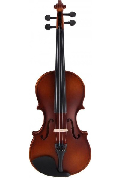 Rosa 4/4 Keman - Mat Cilalı (Rv044M)