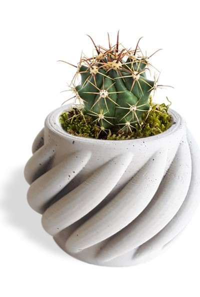 Hk Dekor Beton Sarmal Saksı