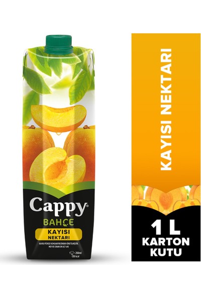 Cappy Meyve Suyu 1 Lt Kayısı