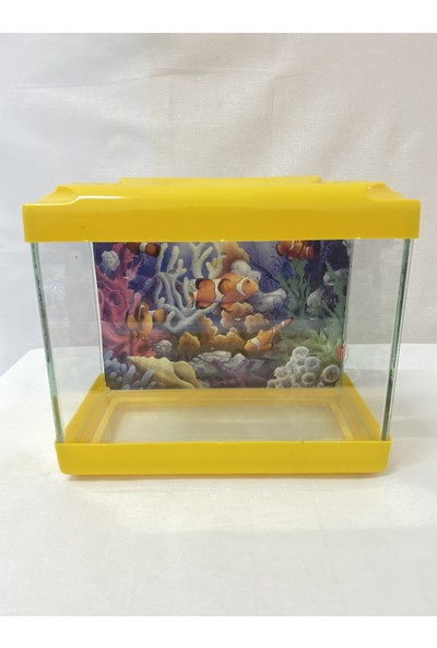 Daltonlar Mini Akvaryum Daltonlar Mini Akvaryum