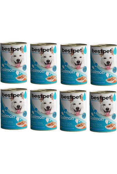 Bestpet Best Pet Somon Balıklı Köpek Konservesi 400 gr 12 Adet Bestpet Best Pet Somon Balıklı Köpek Konservesi 400 gr 12 Adet