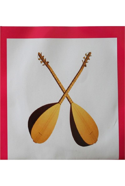 Arya Kısa Sap 0.18 Saz Bağlama Teli