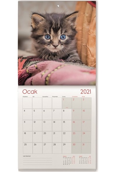 Gıpta 2021 Duvar Takvimi 2931 Tel Dikişli - Kuşe Duvar Takvimi 29 x 31 cm Kedi