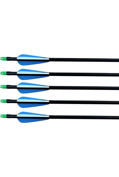 Topoint 30'' Değişebilen Uç Fiberglass Ok 12'li Paket Topoint 30'' Değişebilen Uç Fiberglass Ok 12'li Paket