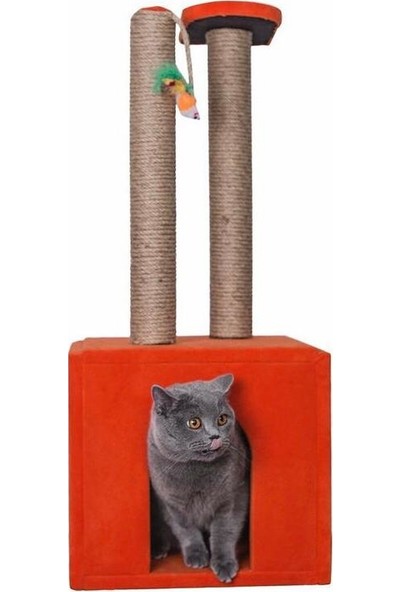 Moda Yuva Kedi Yuvası