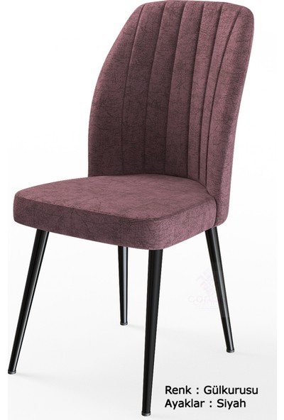 Canisa Concept Platinum Serisi Geniş Oturum Alanlı 1.sınıf Sandalye Ayaklar Siyah Canisa Concept Platinum Serisi Geniş Oturum Alanlı 1.sınıf Sandalye Ayaklar Siyah