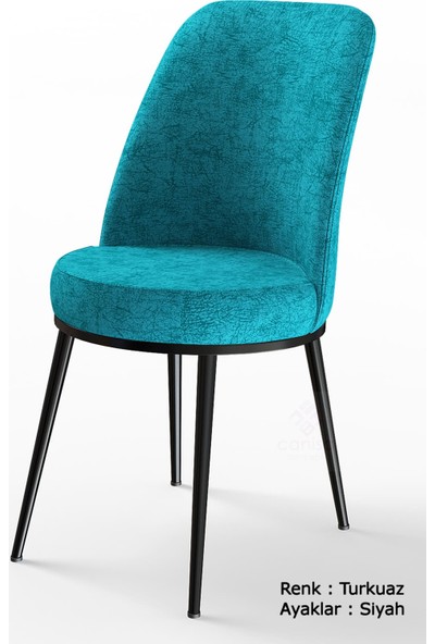 Canisa Concept Dexa Serisi Sandalye Mutfak Sandalyesi