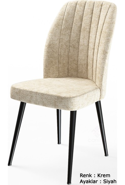 Canisa Concept Platinum Serisi Geniş Oturum Alanlı 1.sınıf Sandalye Ayaklar Siyah Canisa Concept Platinum Serisi Geniş Oturum Alanlı 1.sınıf Sandalye Ayaklar Siyah