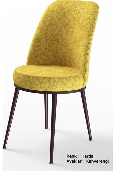 Canisa Concept Dexa Serisi Sandalye Mutfak Sandalyesi