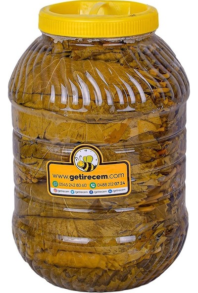 Getirecem Batman Salamura Asma Yaprağı 5 kg Bidon