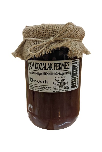 Devalı Çam Kozalak Pekmezi 820 gr