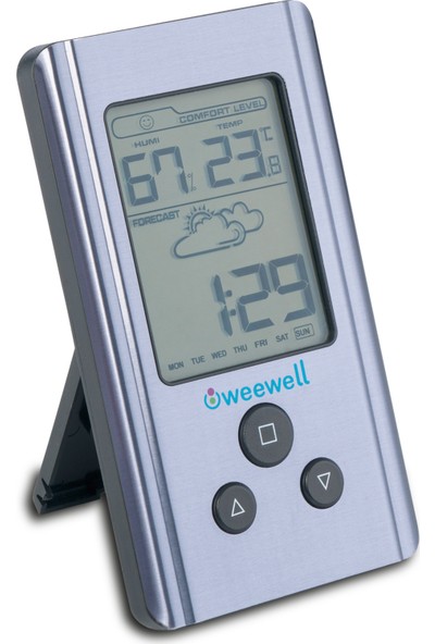 Weewell Higro Termometre