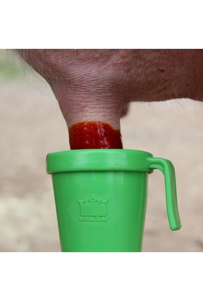 Royal İlaç Masdisin Iobar Sağım Sonrası Bakım Iyot Bariyer Jeli 5 Lt Royal İlaç Masdisin Iobar Sağım Sonrası Bakım Iyot Bariyer Jeli 5 Lt