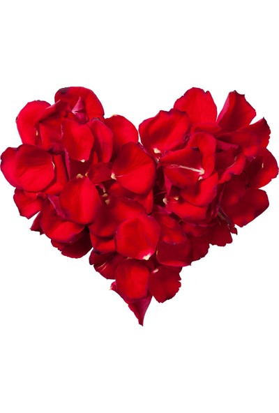 Tellgraf Amerikan Servis