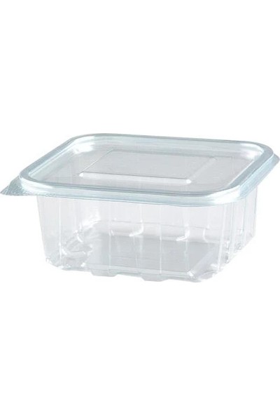 Ekol Ambalaj 250 gr Sızdırmaz Plastik Kab Kap Kase 100'LÜ