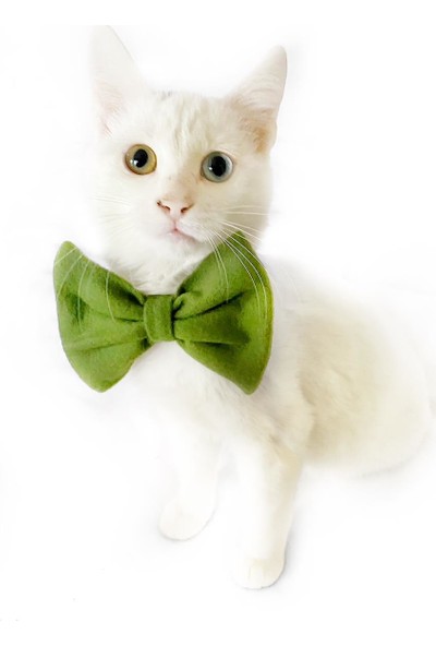 Kemique Green Fluff Kedi Papyonu Kemique Green Fluff Kedi Papyonu