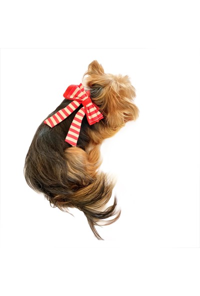 Kemique Kedi ve Köpekler Için Fiyonk Fular Pink Stries