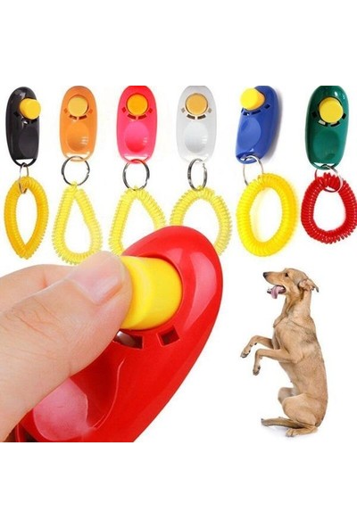 Lion Köpek Eğitim Için Clicker Lion Köpek Eğitim Için Clicker