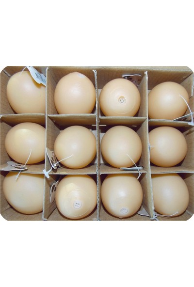 Eastland Plastik Yumurta Oyuncak 12 Li 5cm