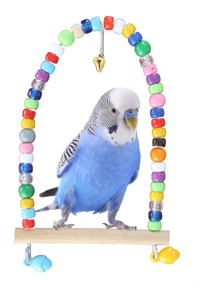 Hiday Kuş Salıncağı 1 Adet Hiday Kuş Salıncağı 1 Adet