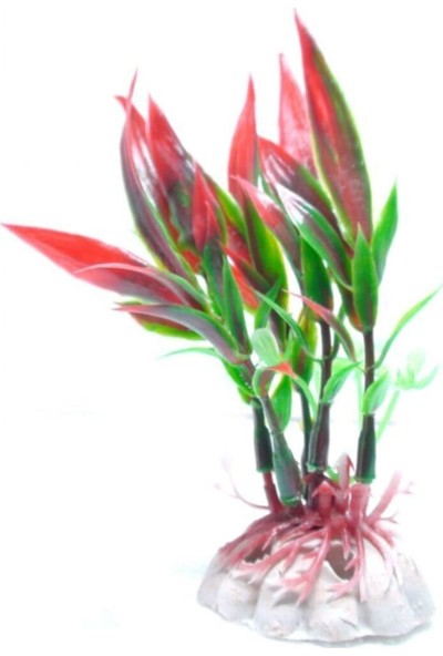 Gzg Plastik Bitki (Kırmızı Yeşil) 6 cm Gzg Plastik Bitki (Kırmızı Yeşil) 6 cm