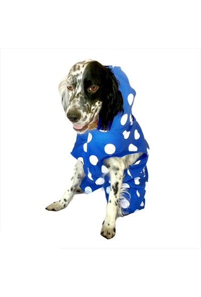 Kemique Mega Dots Blue Köpek Yağmurluğu Kapşonlu Yağmurluk Orta ve Büyük Irklar Için Kemique Mega Dots Blue Köpek Yağmurluğu Kapşonlu Yağmurluk Orta ve Büyük Irklar Için