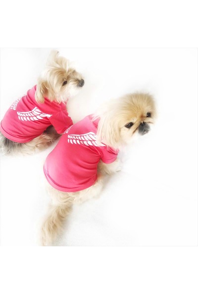 Kemique Angel Melek Kanatlı Köpek Tişörtü