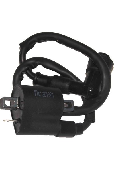 Falcon Cg Grubu Ateşleme Bobini & Buji Başlığı Orijinal