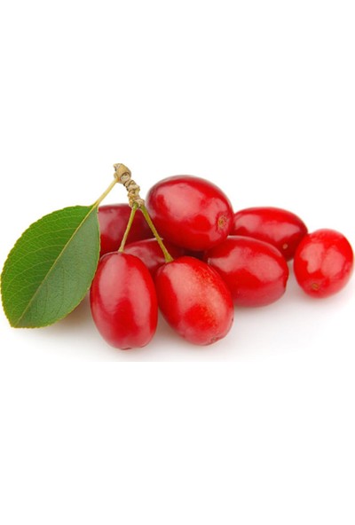 Hastat Taze Kızılcık 1 kg