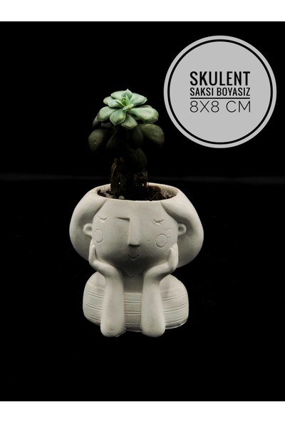 Elif Aksesuar Kız Figürlü Boyasız Skulent Saksı 8x8 ( Kokulu Taş Tozundan ) Elif Aksesuar Kız Figürlü Boyasız Skulent Saksı 8x8 ( Kokulu Taş Tozundan )