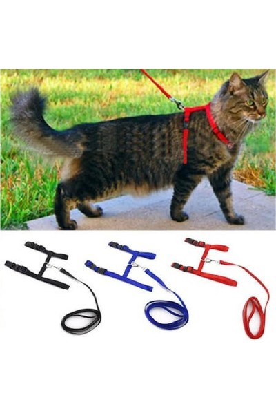 Eycem Ayarlanabilir Kedi Tasması 120 cm (4 Renk)