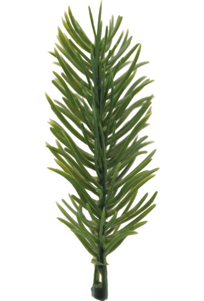 Lora Wedding 6cm Yapay Çam Dalı (10 Adet)