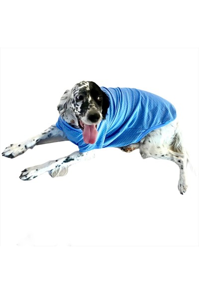 Kemique Mavi Martı Desen Tişört Büyük Köpekler Için XXXXL Kemique Mavi Martı Desen Tişört Büyük Köpekler Için XXXXL